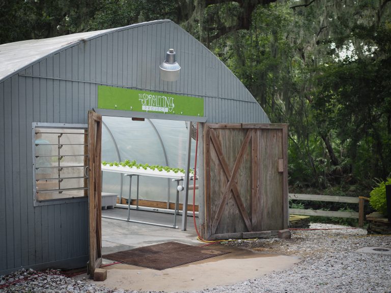 The Sprouting Project - Omni Amelia Island – The Travel Bite