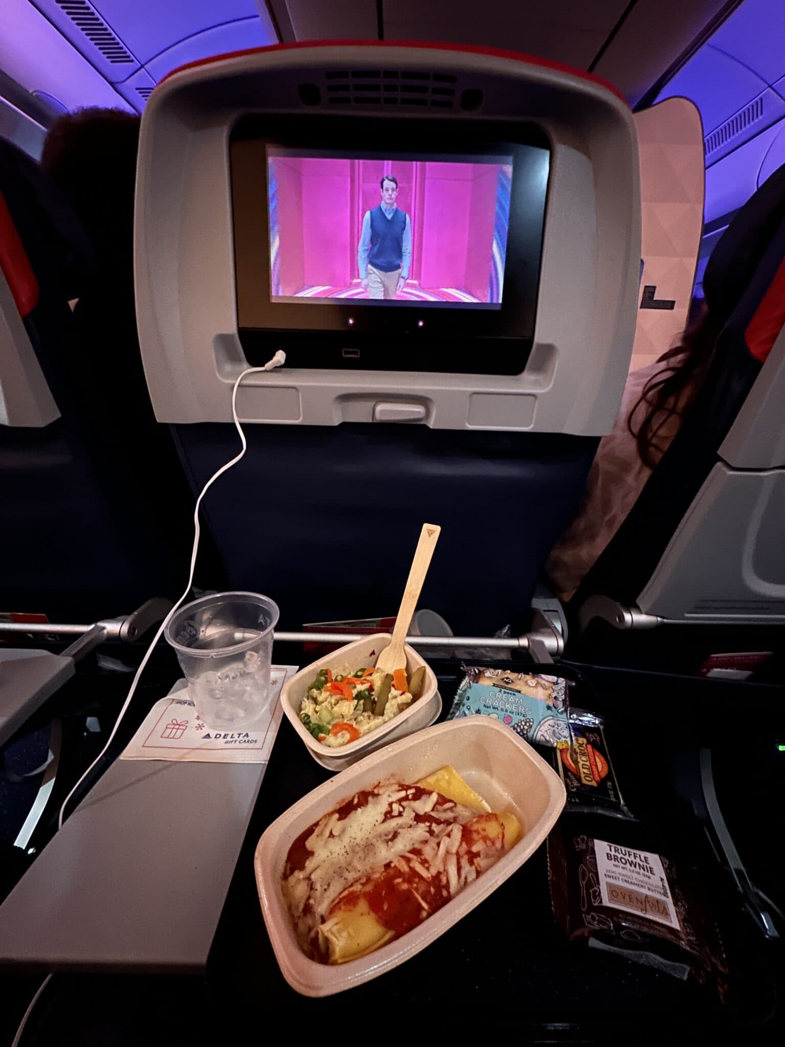Delta Comfort Plus Review - The Travel Bite