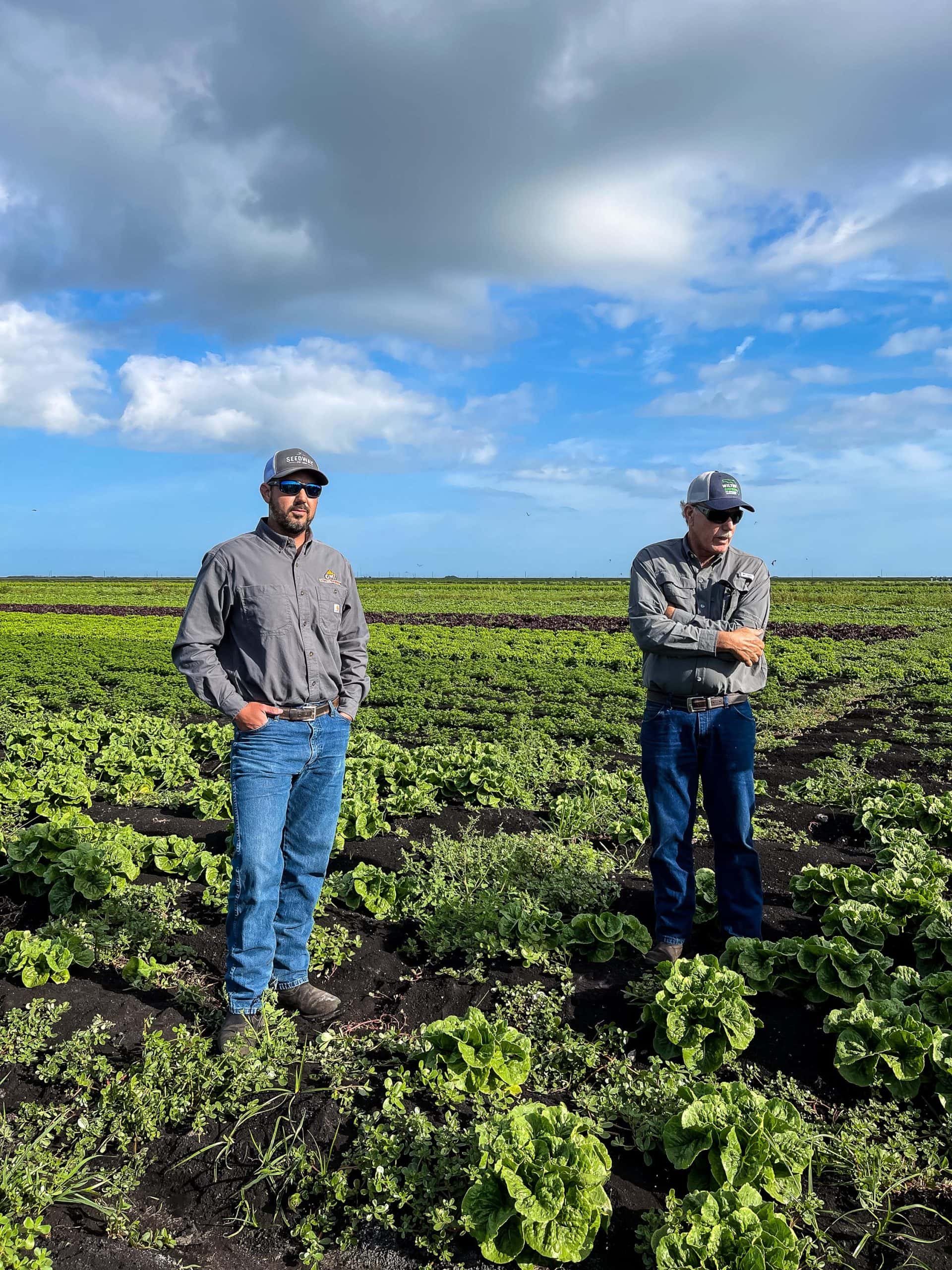 Field To Fork: 7 Fascinating Things I Learned About Florida Farming ...