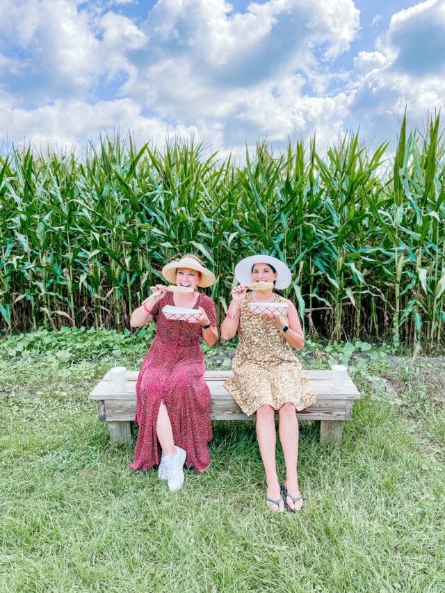 50 Fun Things To Do In Orlando This Fall – The Travel Bite