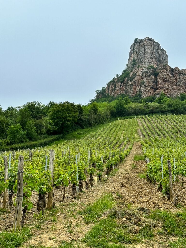 Viking River Cruise: Lyon to Avignon Review – The Travel Bite