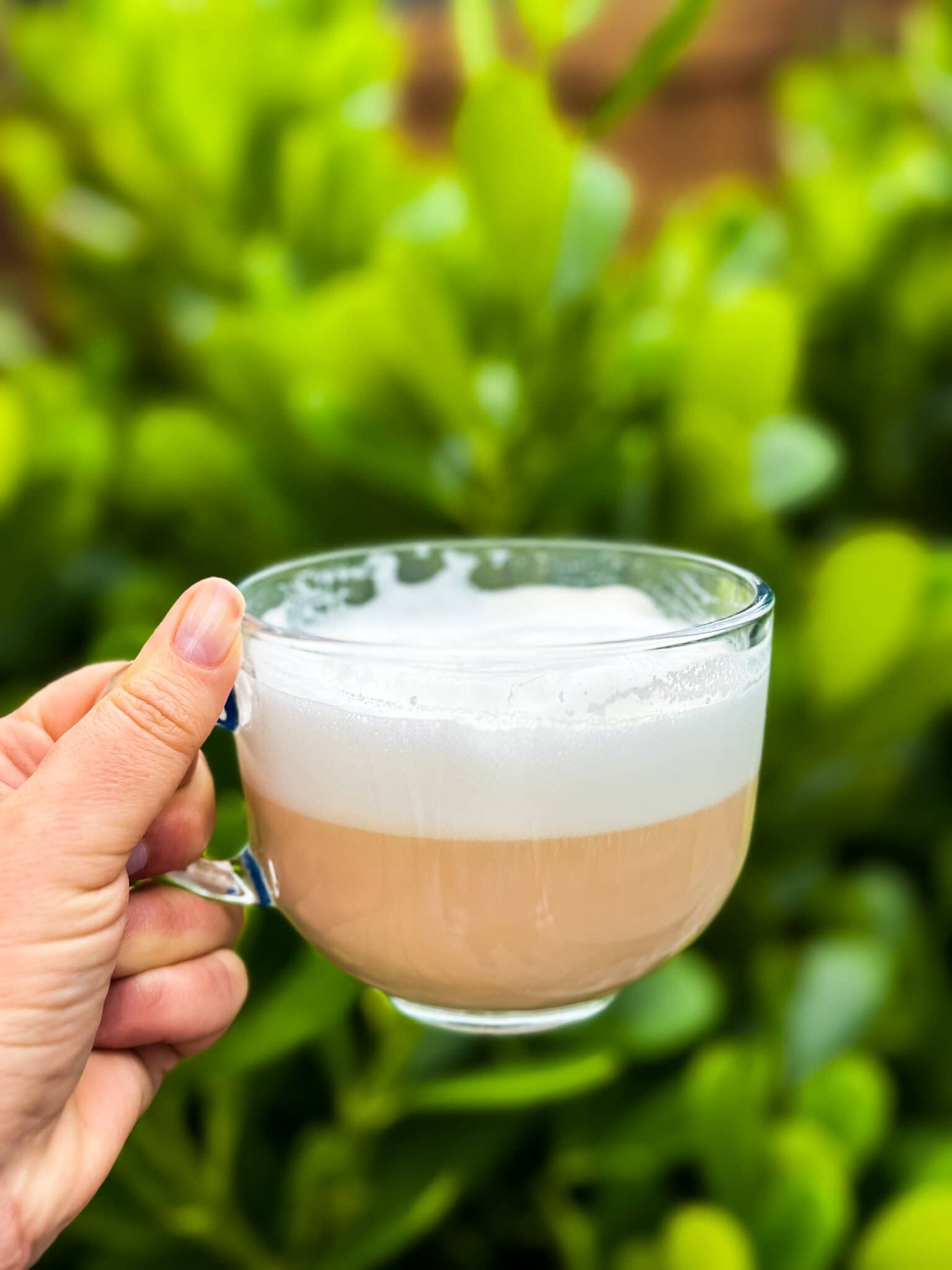 London Fog Recipe (Hot & Iced) – The Travel Bite